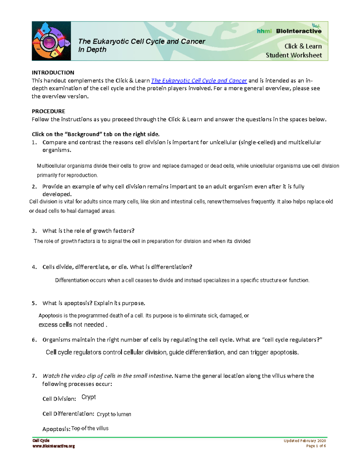 The Eukaryotic Cell Cycle and Cancer In Depth Student Worksheet - Click ...