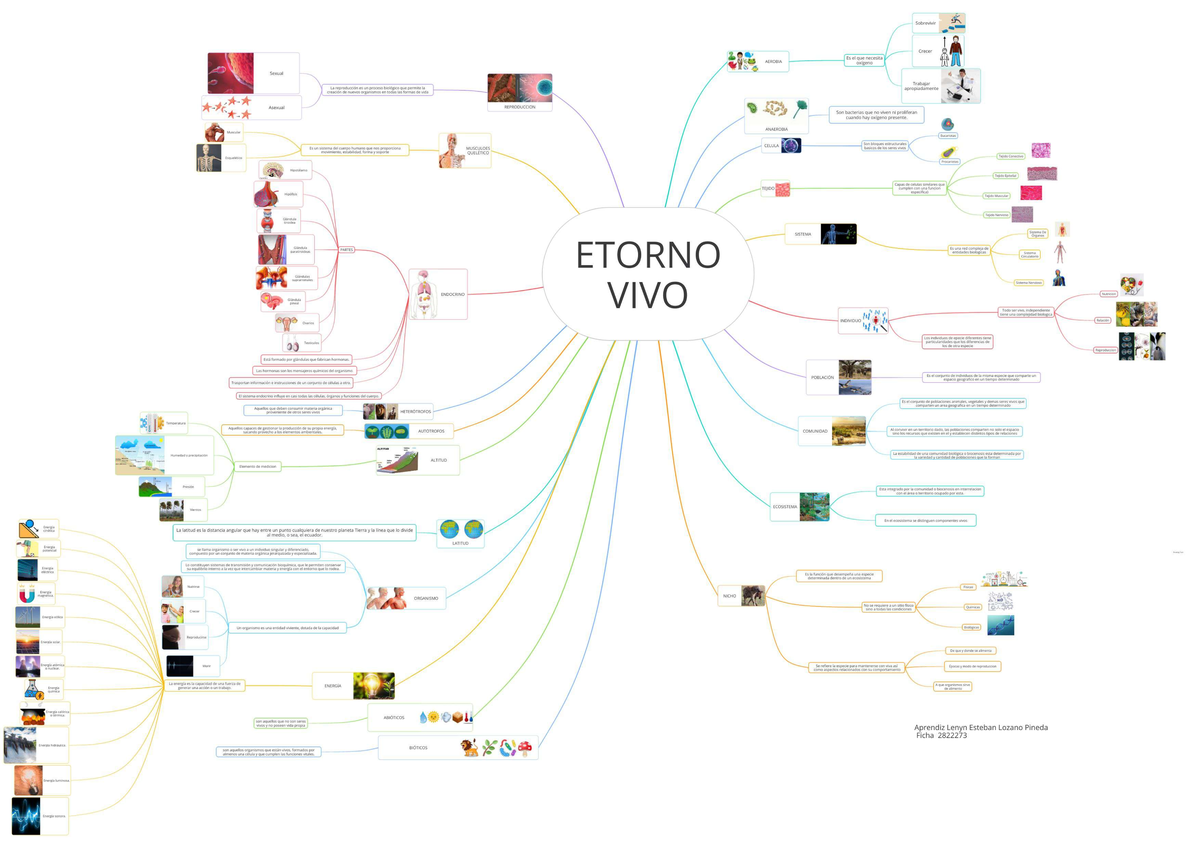 AA1-EV01 Mapa mental con los conceptos básicos del entorno vivo - Studocu