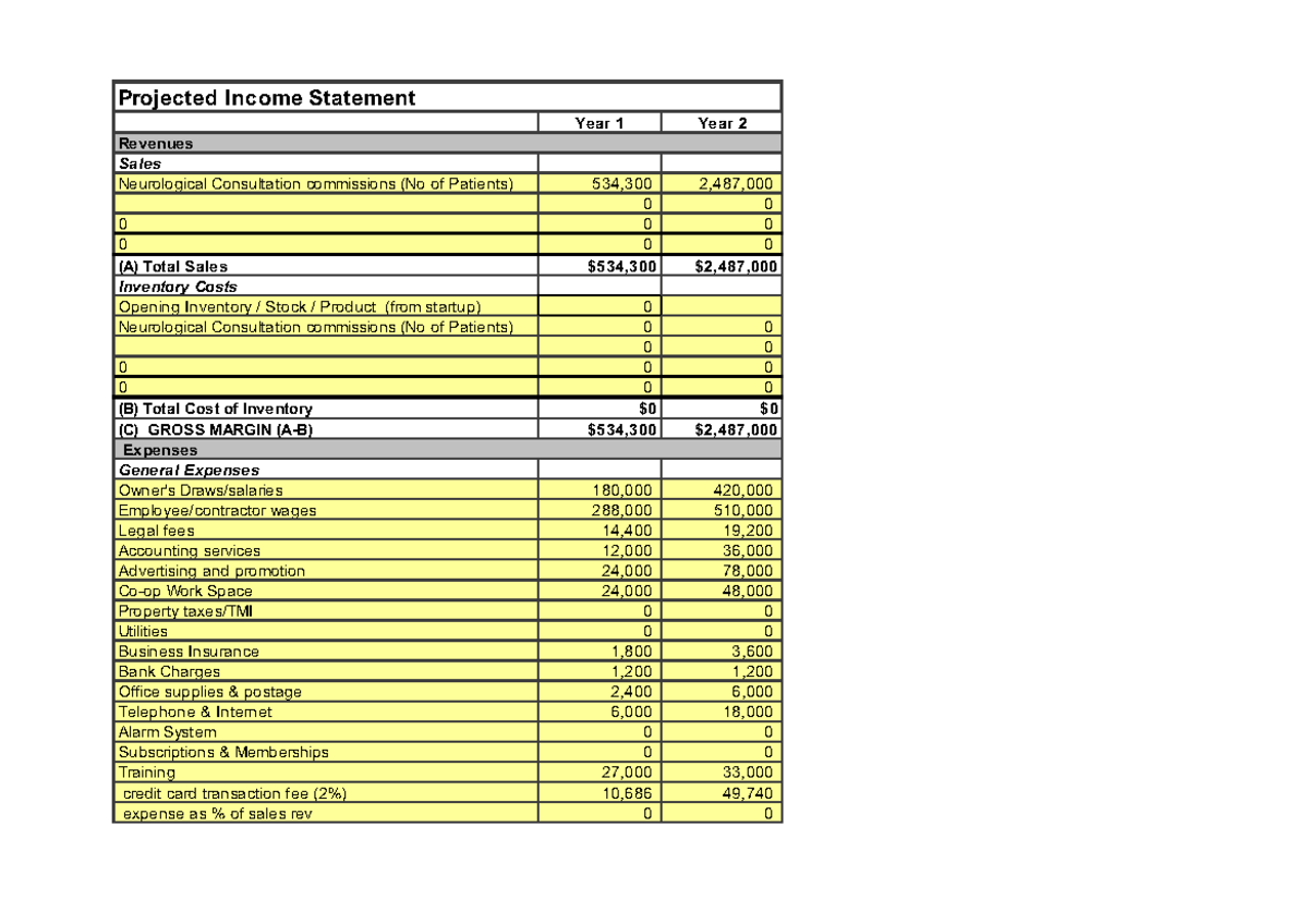 Projected income statement - Projected Income Statement Revenues (A ...