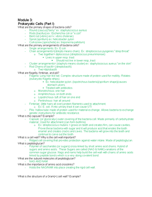 2230 - Study Guides - Online - Video Tutorial Study Guides Module 1 ...