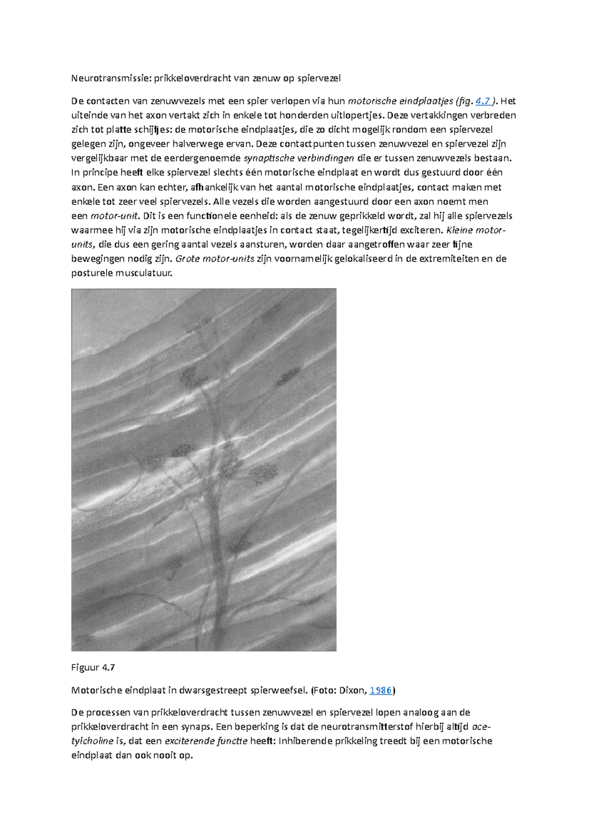 Neurotransmissie spiercontractie - Neurotransmissie: prikkeloverdracht ...