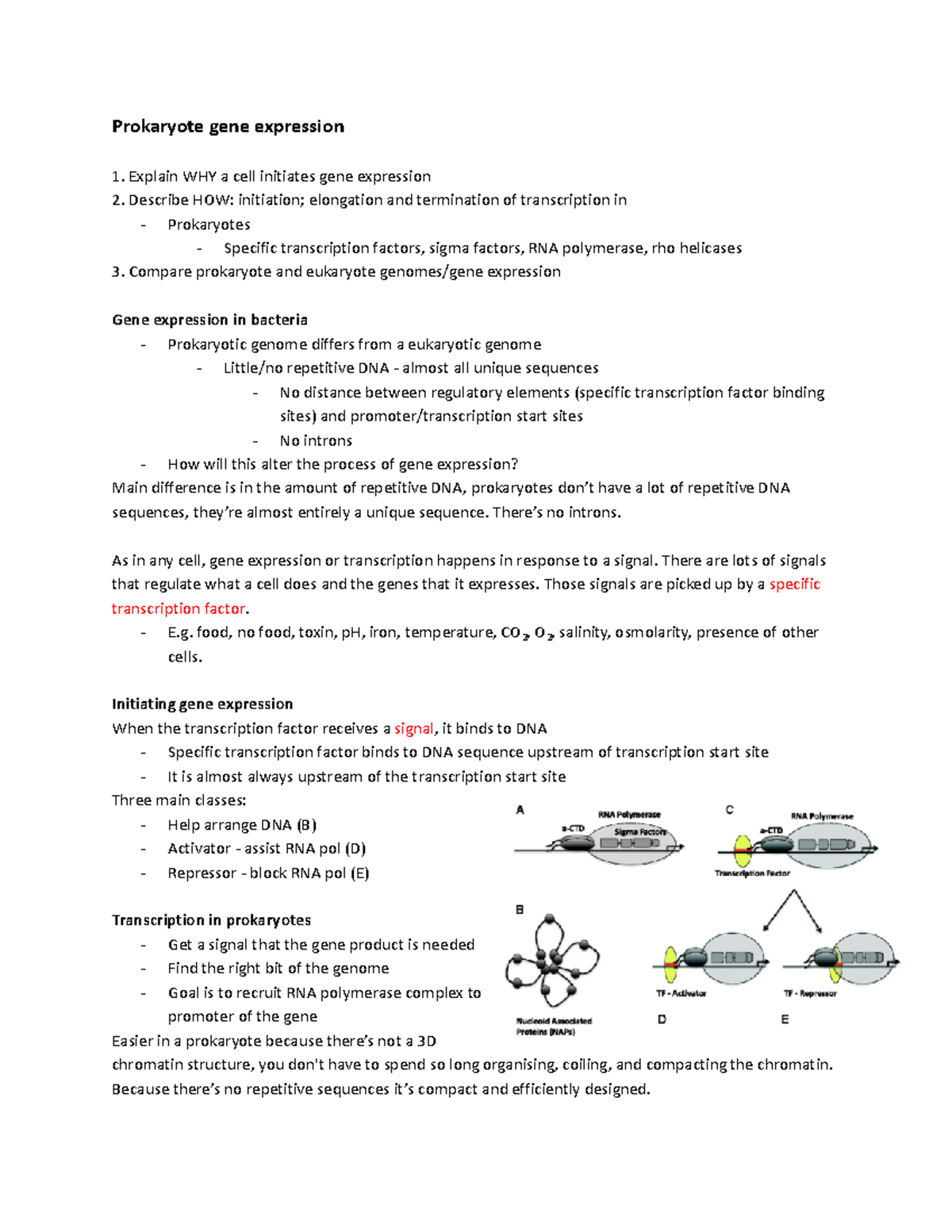 BIOL241 Melanie Module 9 - Prokaryote gene expression Explain WHY a ...