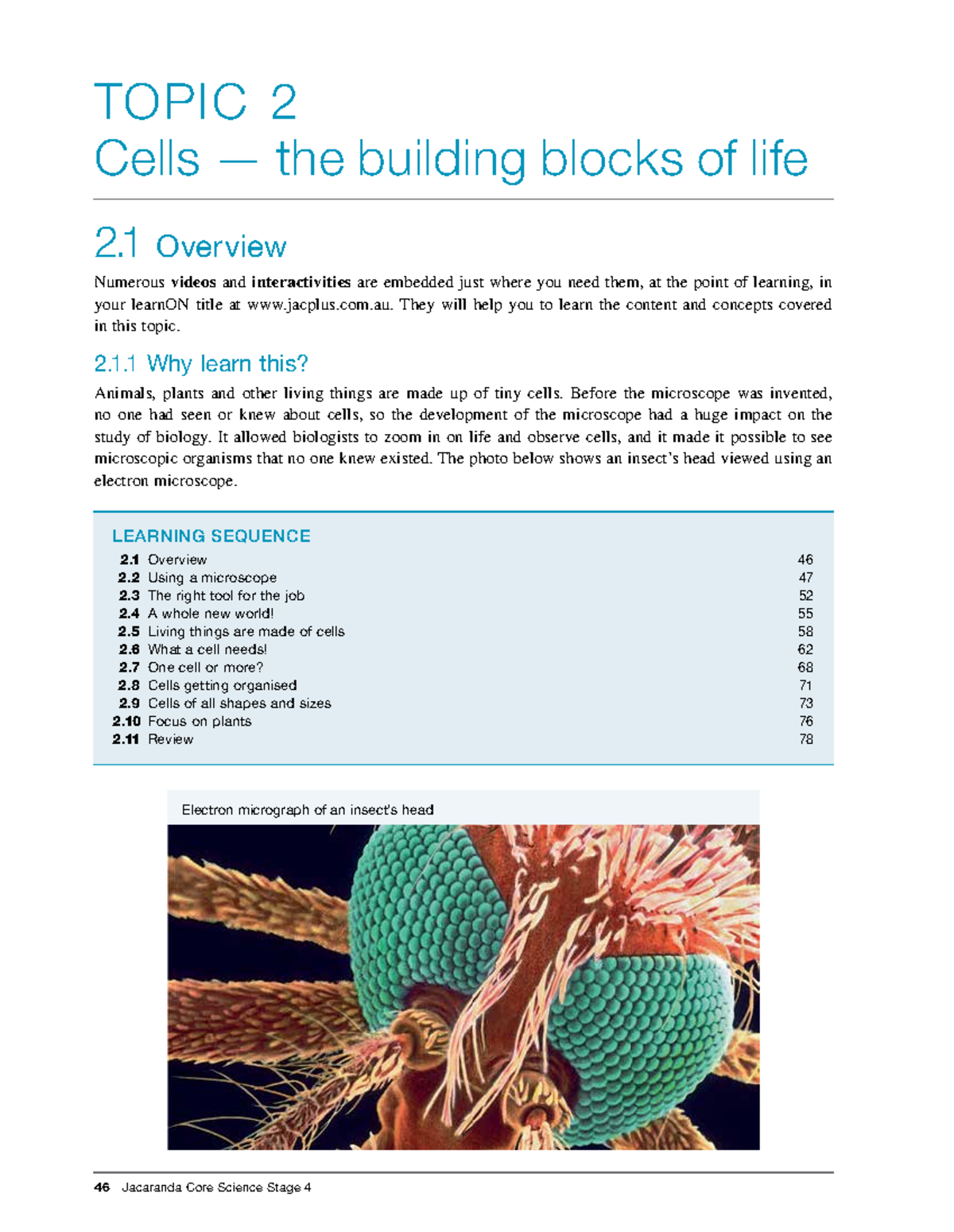 C2Cells The Building Blocks Of Life - 46 Jacaranda Core Science Stage 4 ...