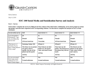 Everyday Sociology SOC 100 Pillars of Society Matrix - SOC-100 Pillars ...