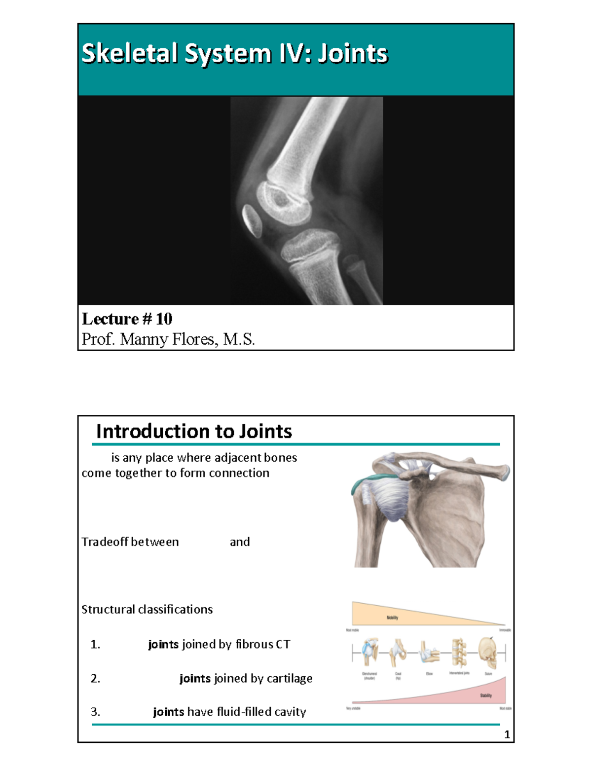 Lecture 10 - Joints - Essentials of Anatomy & Physiology I - 0 Skeletal ...
