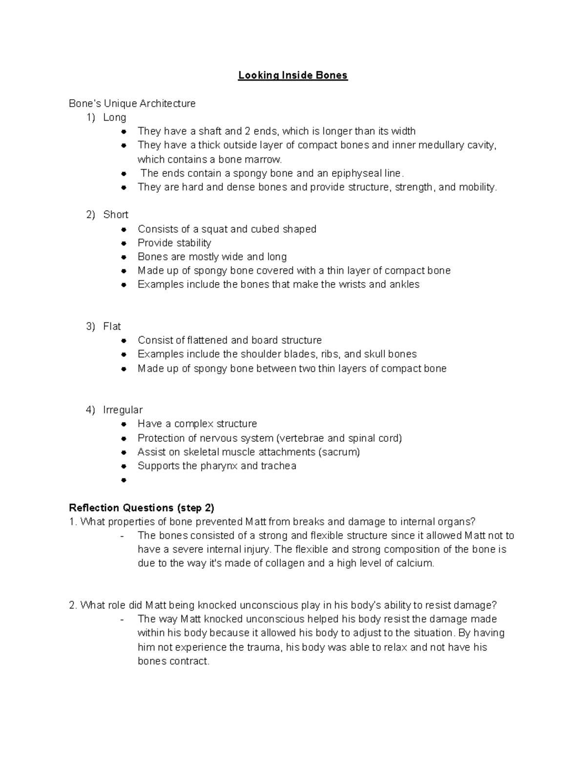 Looking Inside Bones - Looking Inside Bones Bone’s Unique Architecture ...