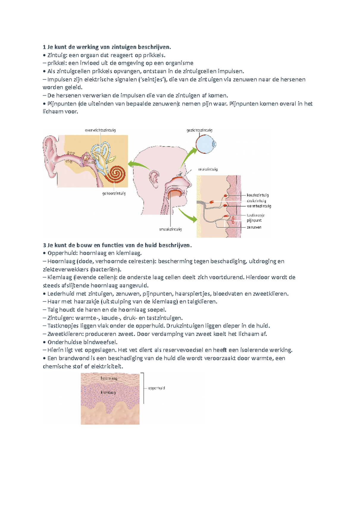 Biologie thema 5 samenvattingen - 1 Je kunt de werking van zintuigen ...