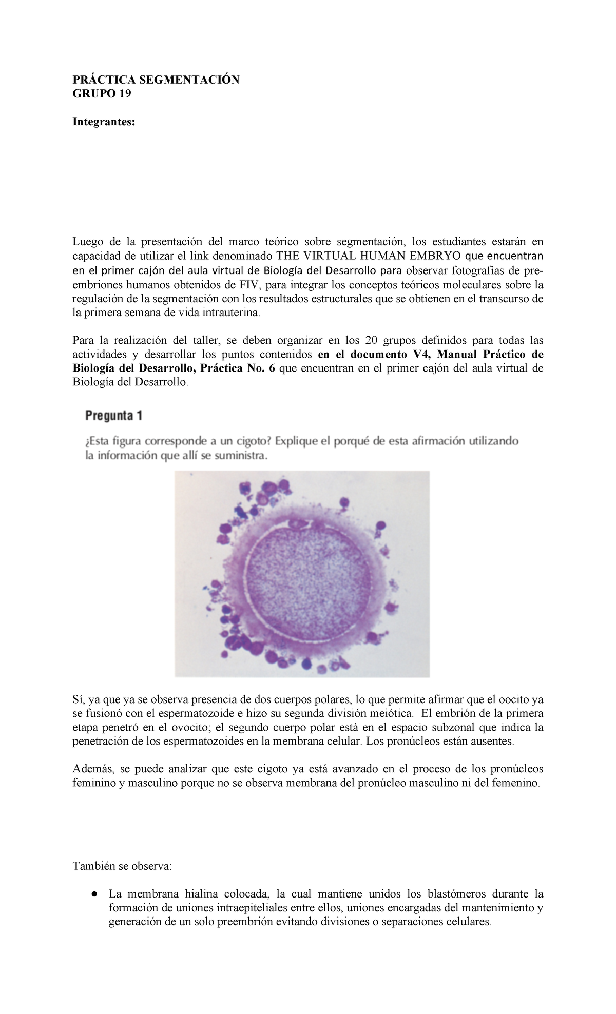 PRÁ Ctica SegmentacióN - Warning: TT: undefined function: 32 PRÁCTICA SEGMENTACIÓN GRUPO 19 ...