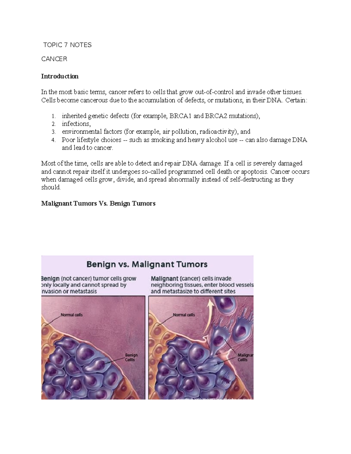 Topic 7 Notes - TOPIC 7 NOTES CANCER Introduction In the most basic ...