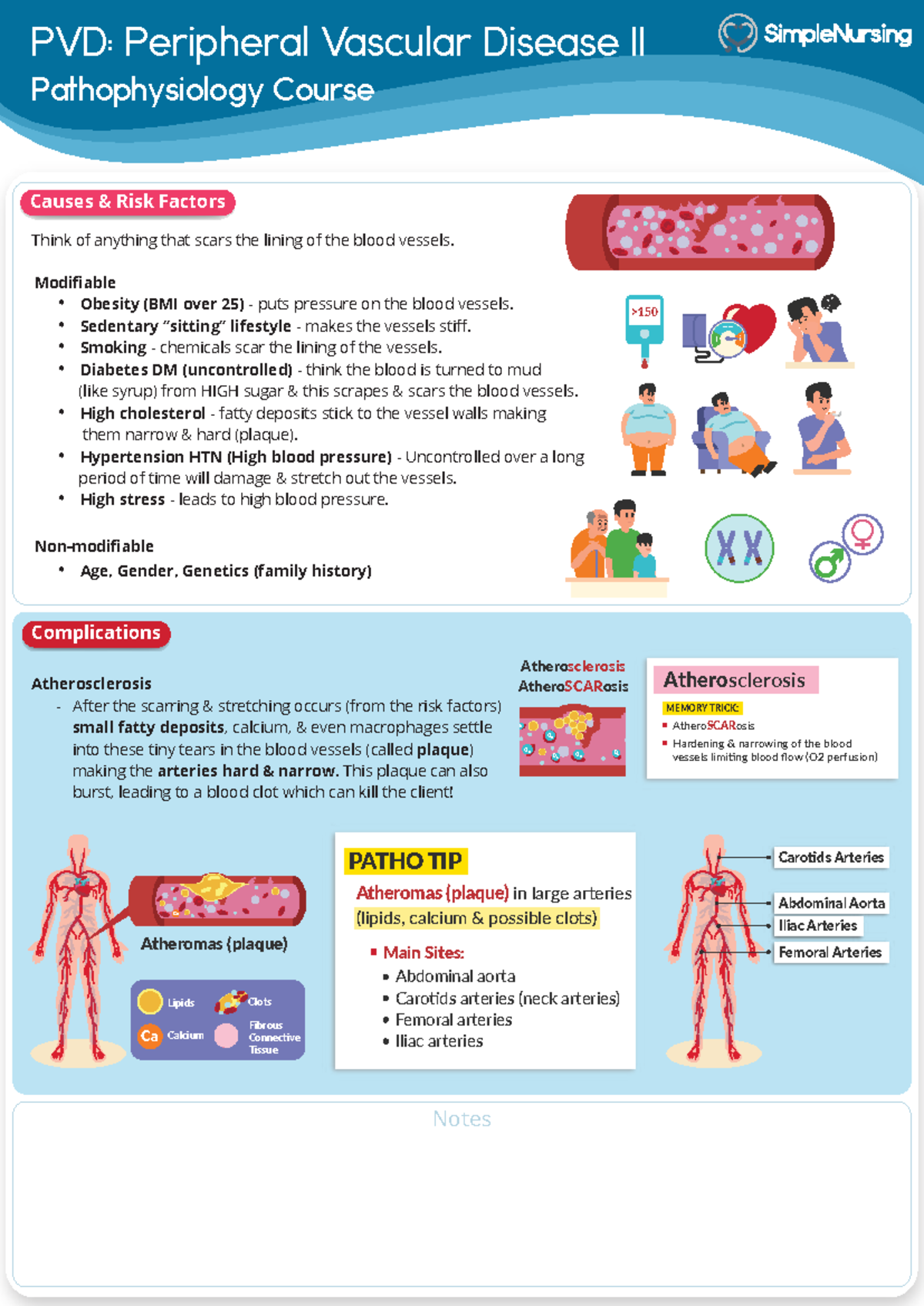 2. PVD - Causes & Complications - PVD: Peripheral Vascular Disease II ...