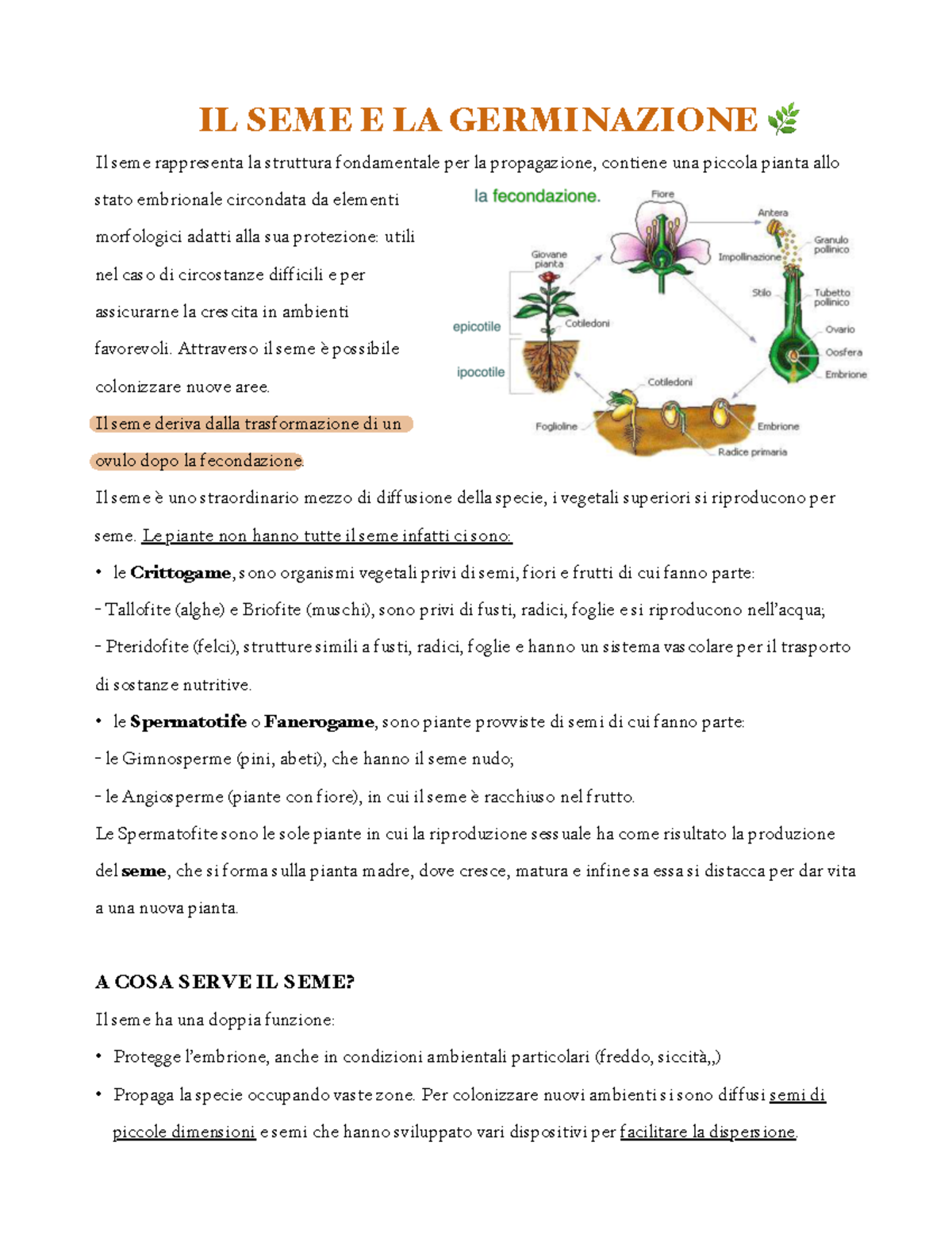 Botanica Sist. 3. I semi - IL SEME E LA GERMINAZIONE! Il seme rappresenta la struttura ...