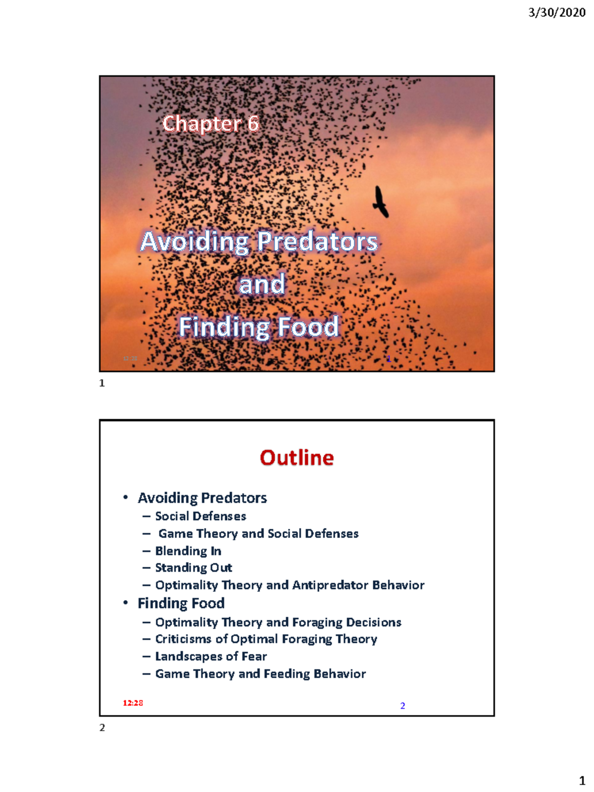 AB06 Survival Foraging - General biology - AUB - Studocu