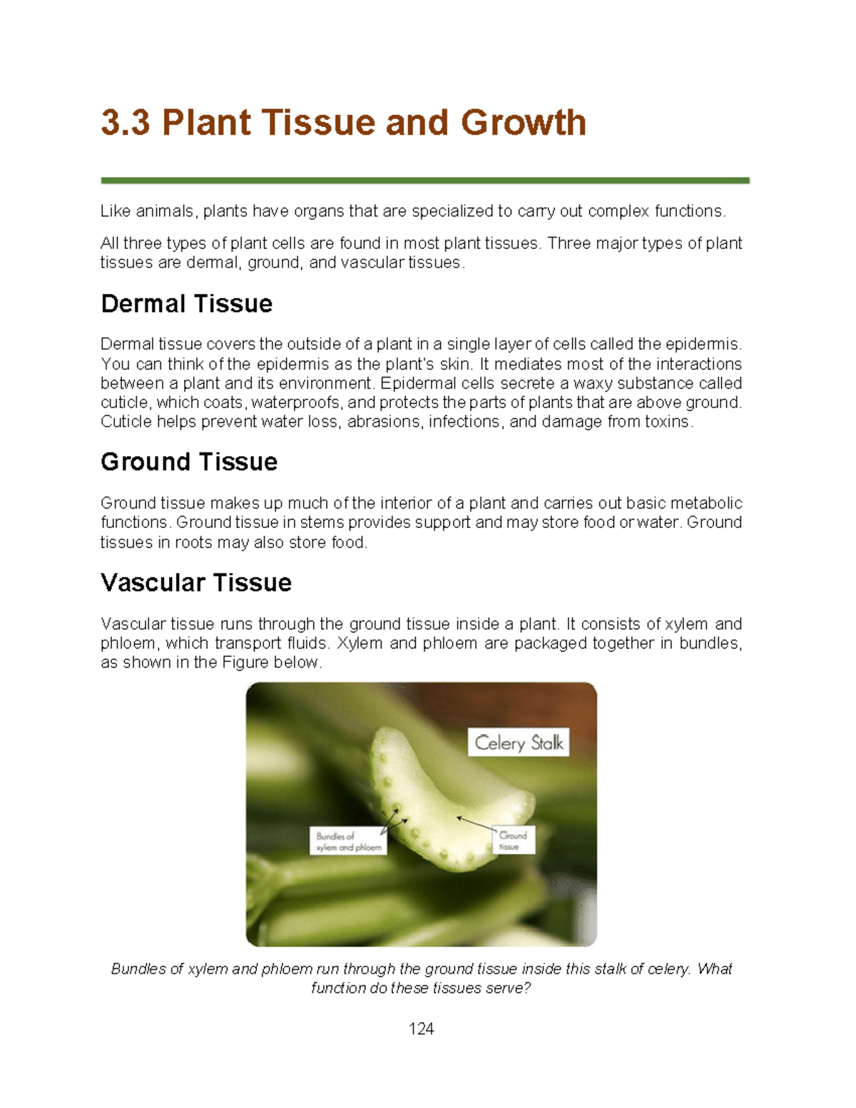 Biotechnology and genetic engineering - 3 Plant Tissue and Growth Like ...