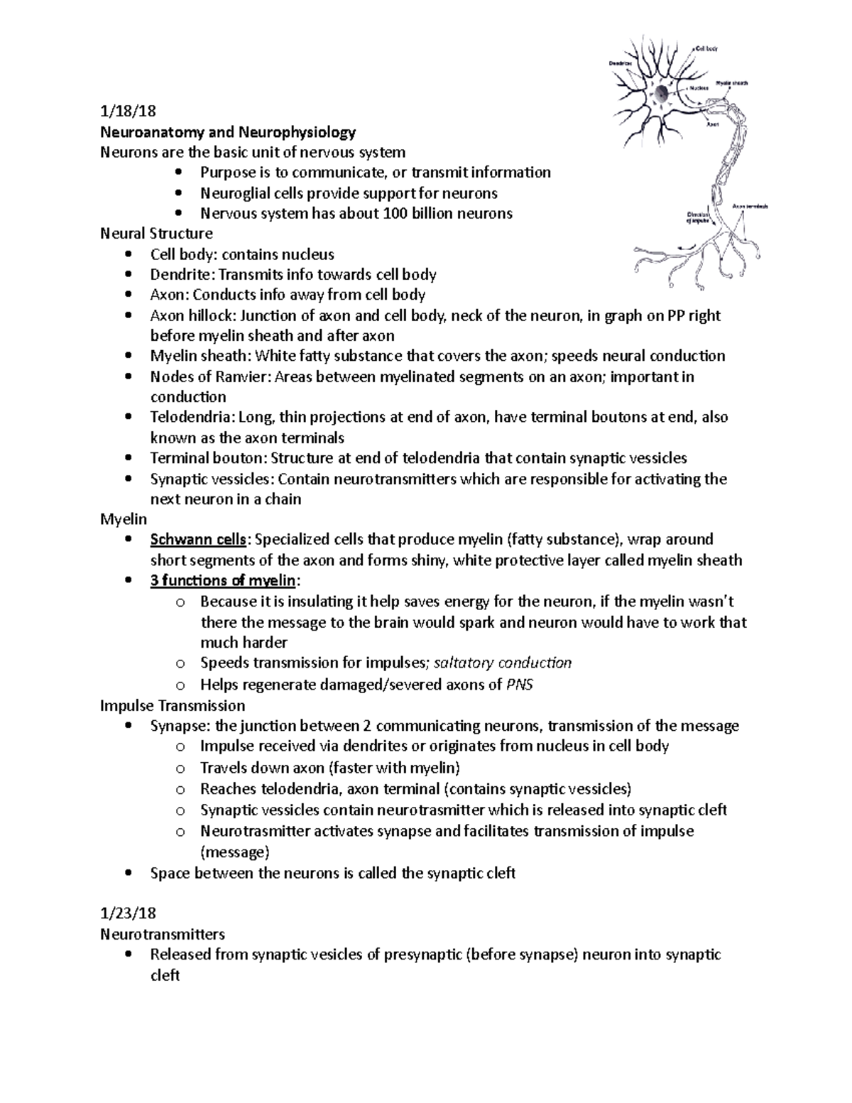 Neuro Notes - 1/18/ Neuroanatomy and Neurophysiology Neurons are the ...