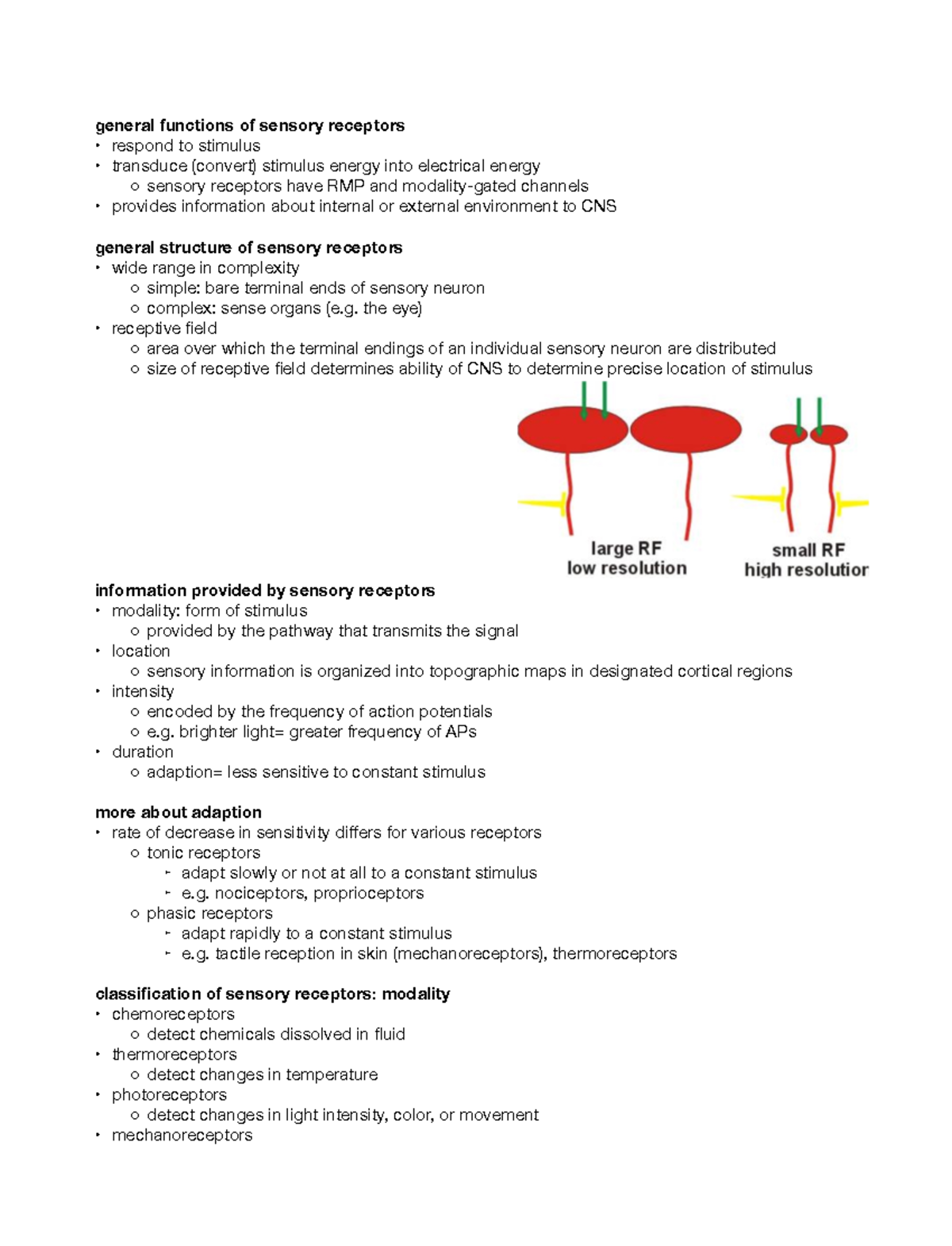 Ch 16 lecture notes X - Anatomy and physiology 1 - general functions of ...