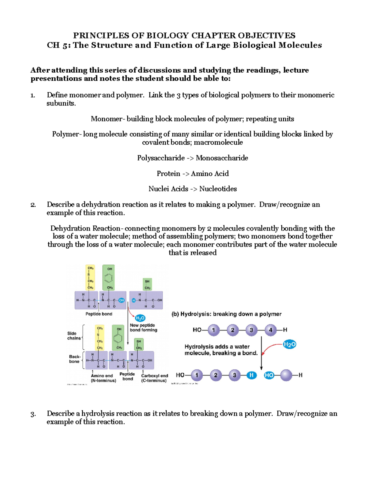 CH 05 Objectives - The Structure and Function of Large Biological ...