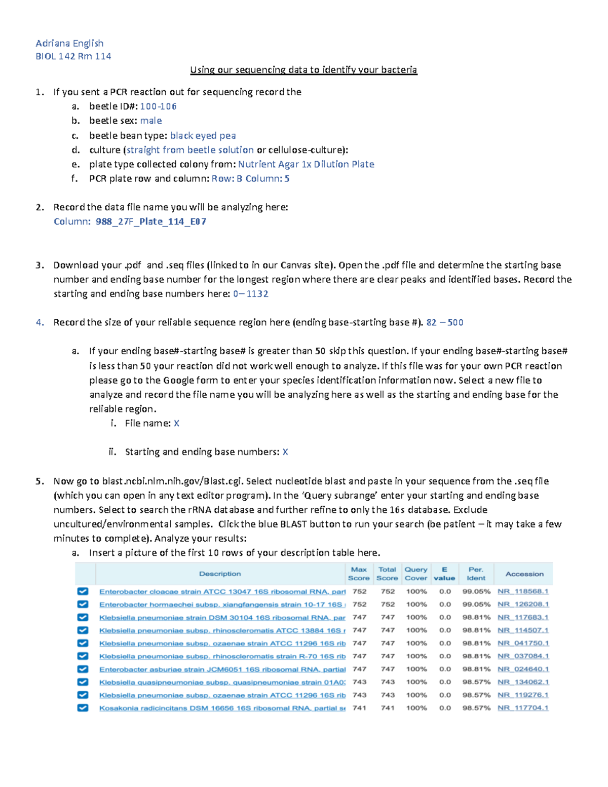 Bean Beetle Blast Bio Lab Activity Species Identity - Warning: TT ...