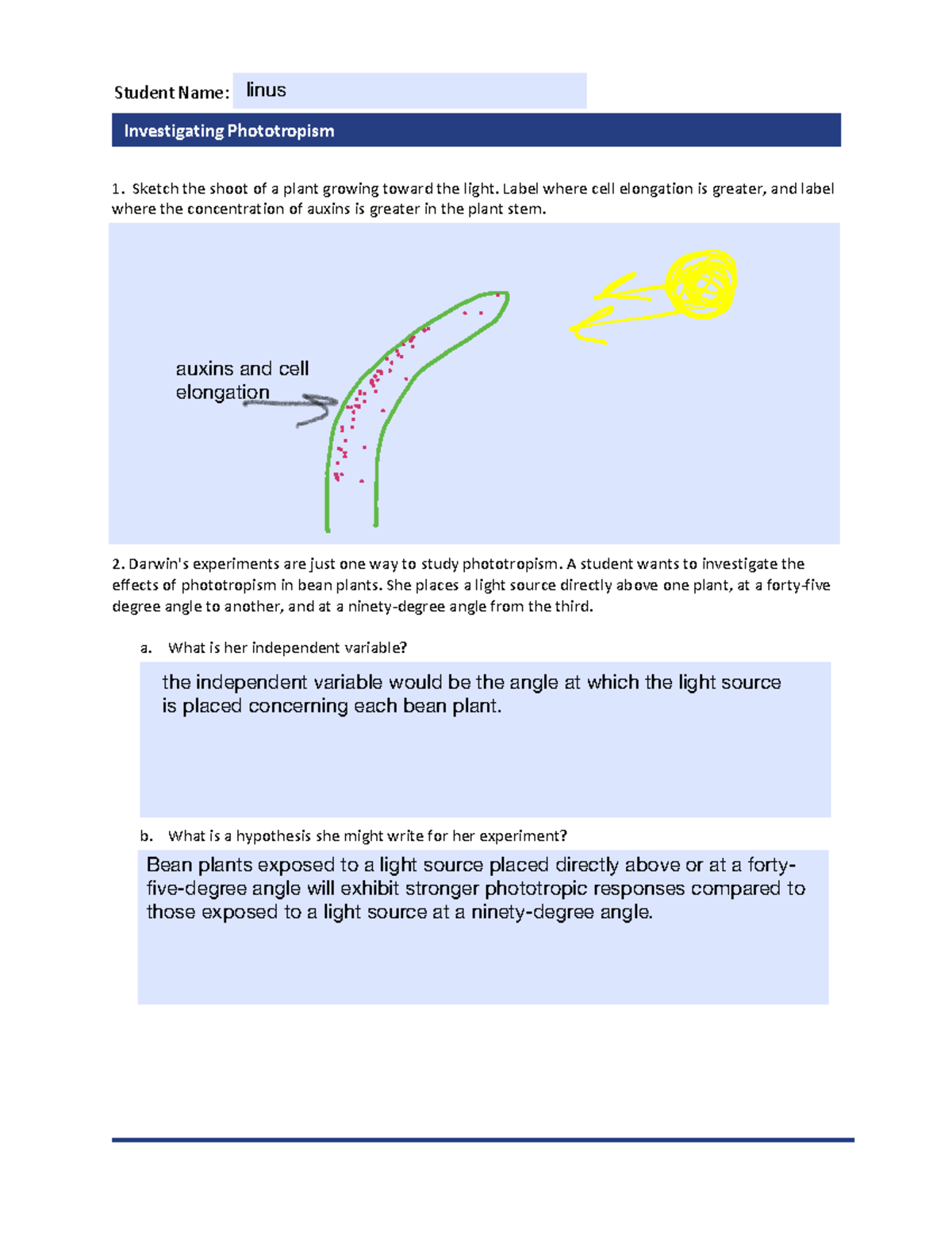 Plant Tropisms - lab work - Student Name: Investigating Phototropism 1 ...