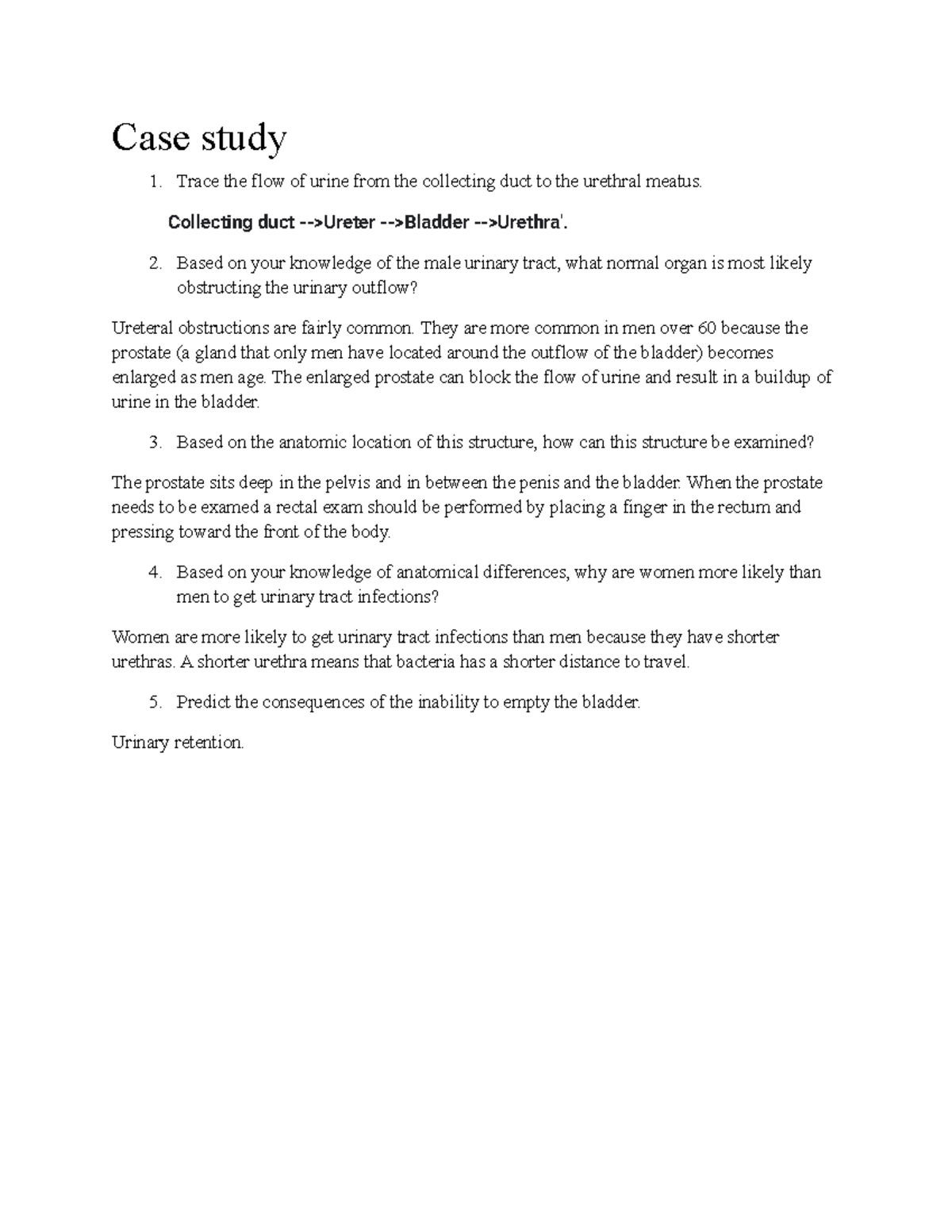 Case study week 4 - nothing - Case study Trace the flow of urine from ...