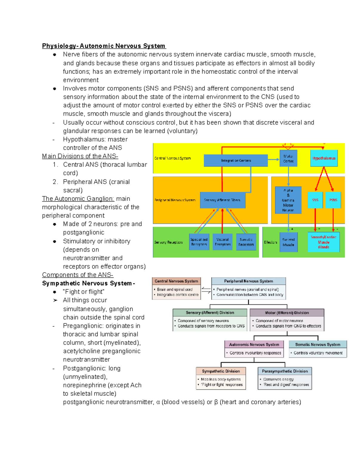 Physiology- Autonomic Nervous System - Central ANS (thoracal lumbar ...
