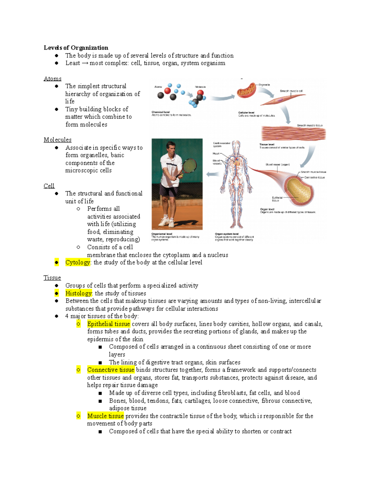 L1 Body Structures And Organ Systems - Levels of Organization The body ...
