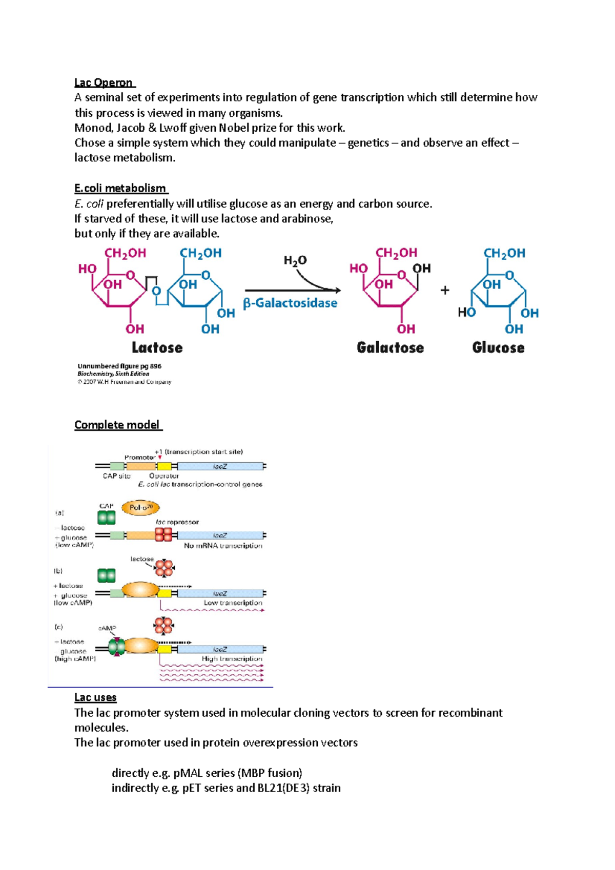 Lac operon - Lecture notes 13 - Lac Operon A seminal set of experiments ...