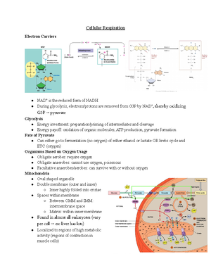 Cellular Respiration - Page 1: Introduction to Cellular Respiration ...