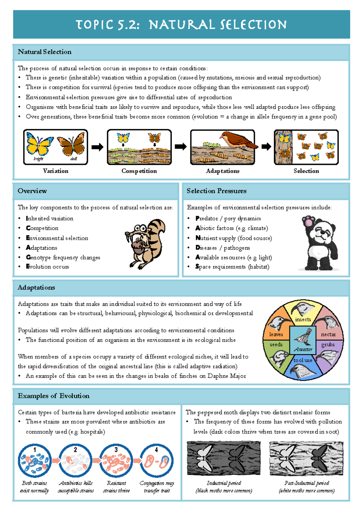 5.2 Natural Selection - notes - Topic 5: nAturAL SELECTIOn Natural ...