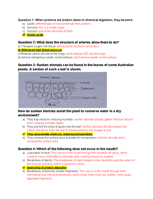 Explanation 4. Finding value of variable Ex 3D - Ex3D Insight Finding the value of a variable in ...