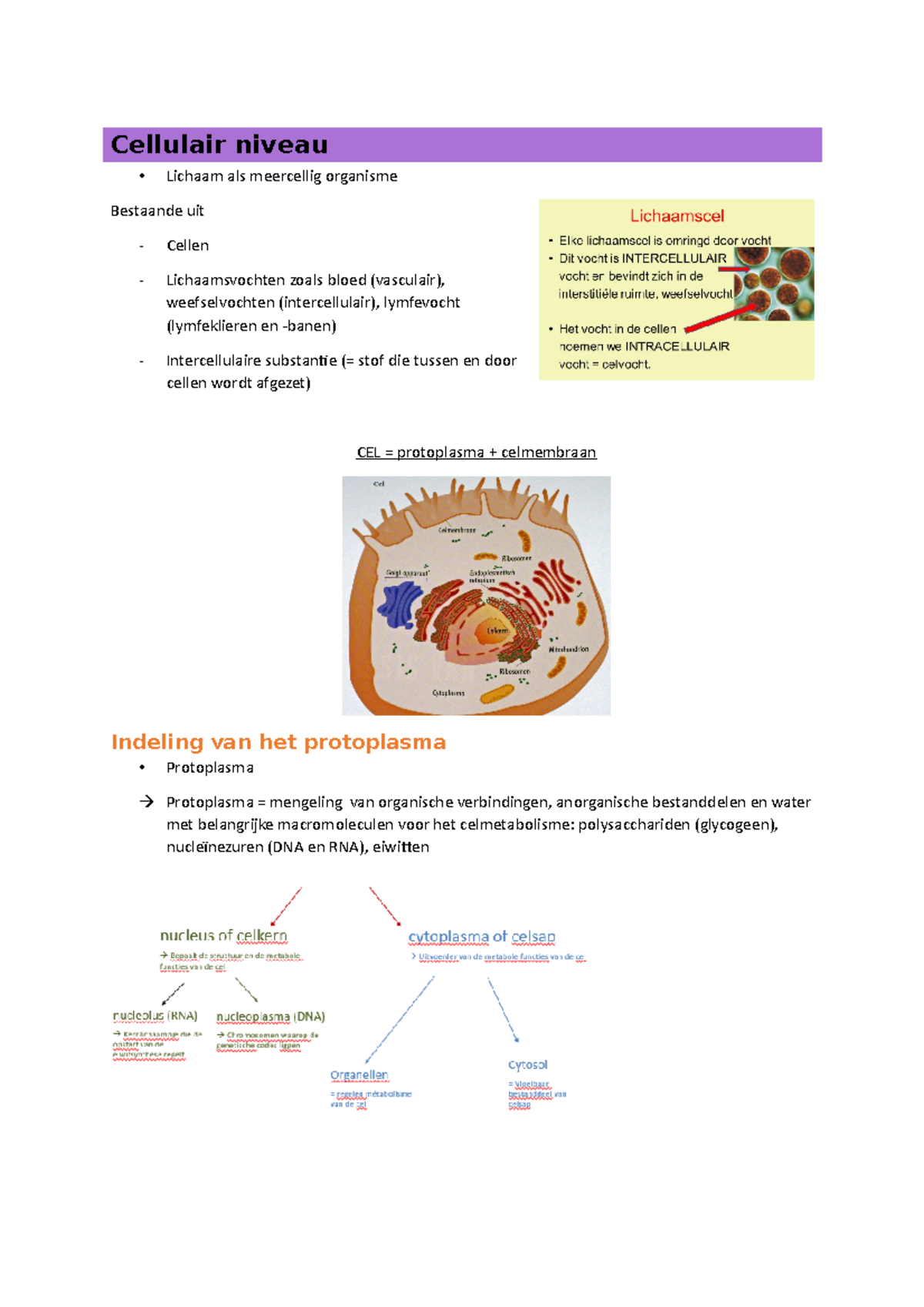 Samenvatting Fysiologie - Cellulair niveau Lichaam als meercellig ...