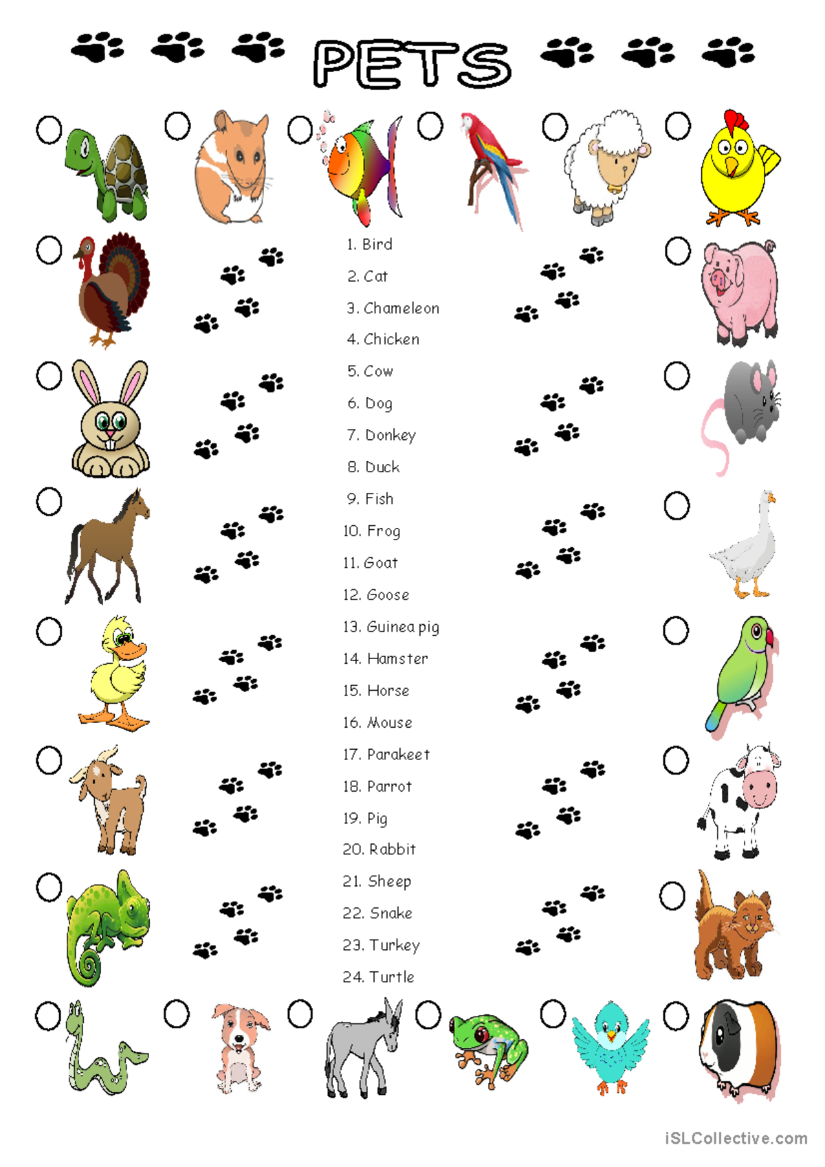 PETS - Matching - Pets - Communication in English I - Bird 2. Cat ...