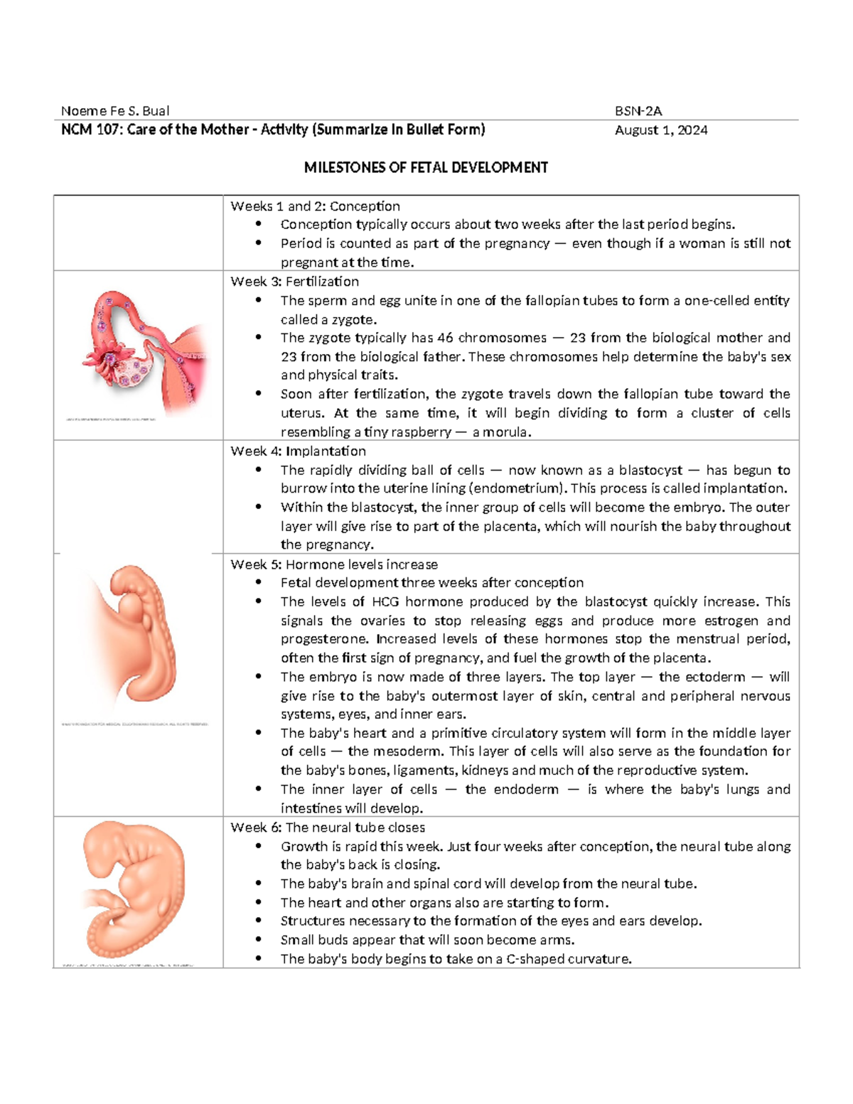 Milestones OF Fetal Development - Noeme Fe S. Bual BSN-2A NCM 107: Care ...