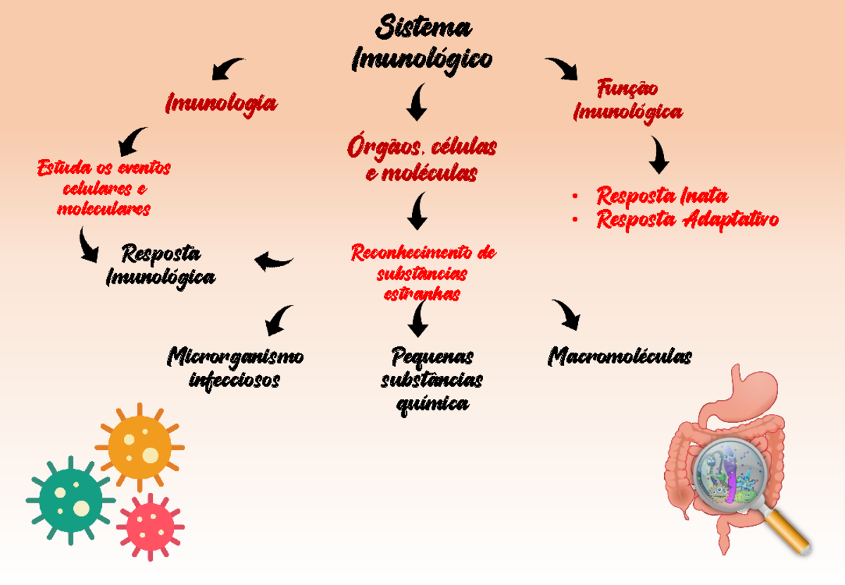 Mapa Mental Sistema Imune - Sistema Imunológico Imunologia Estuda os ...