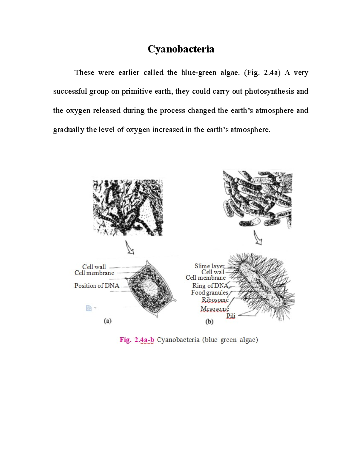 Cyanobacteria - These were earlier called the blue-green algae. (Fig. 2 ...
