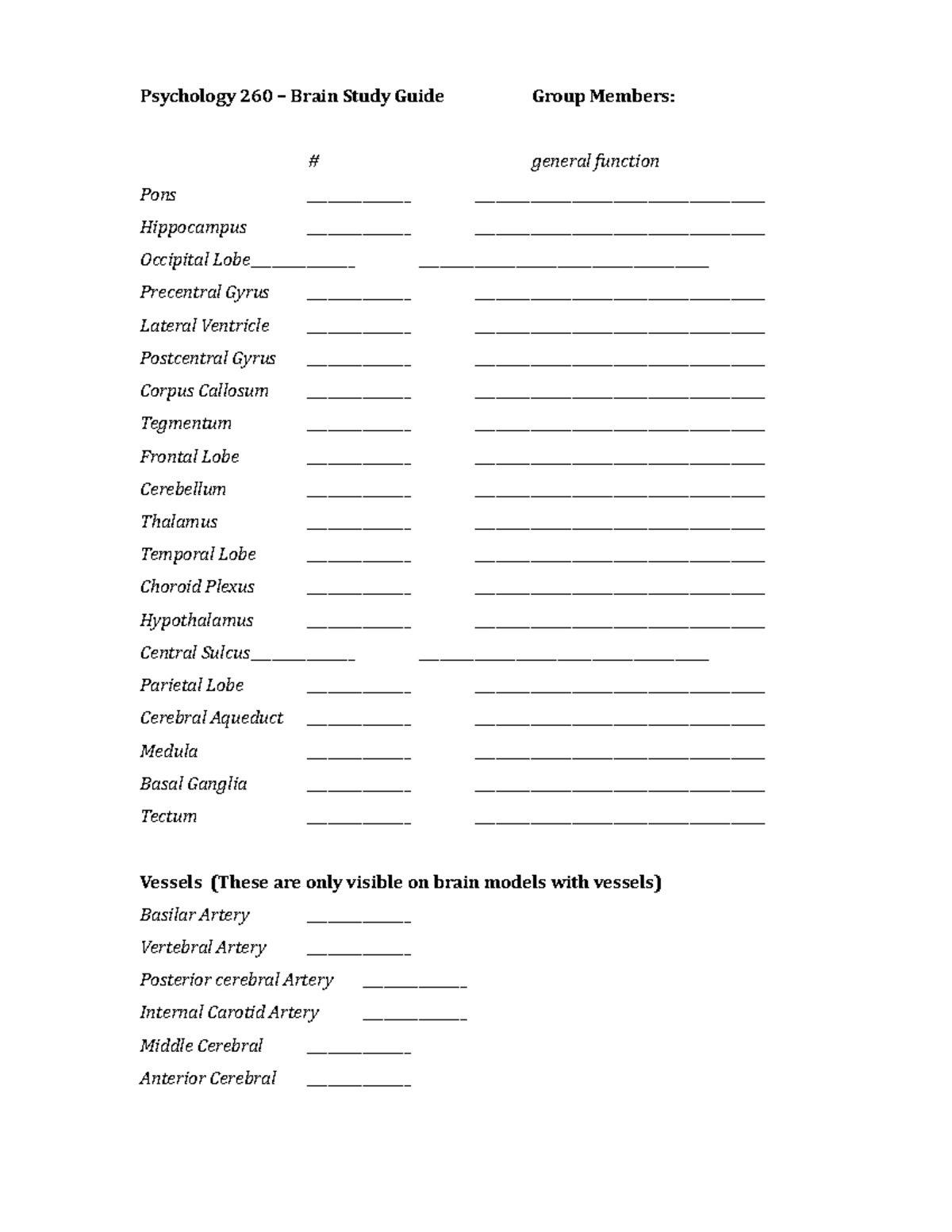 Brain Model Study - Psychology 260 – Brain Study Guide Group Members ...