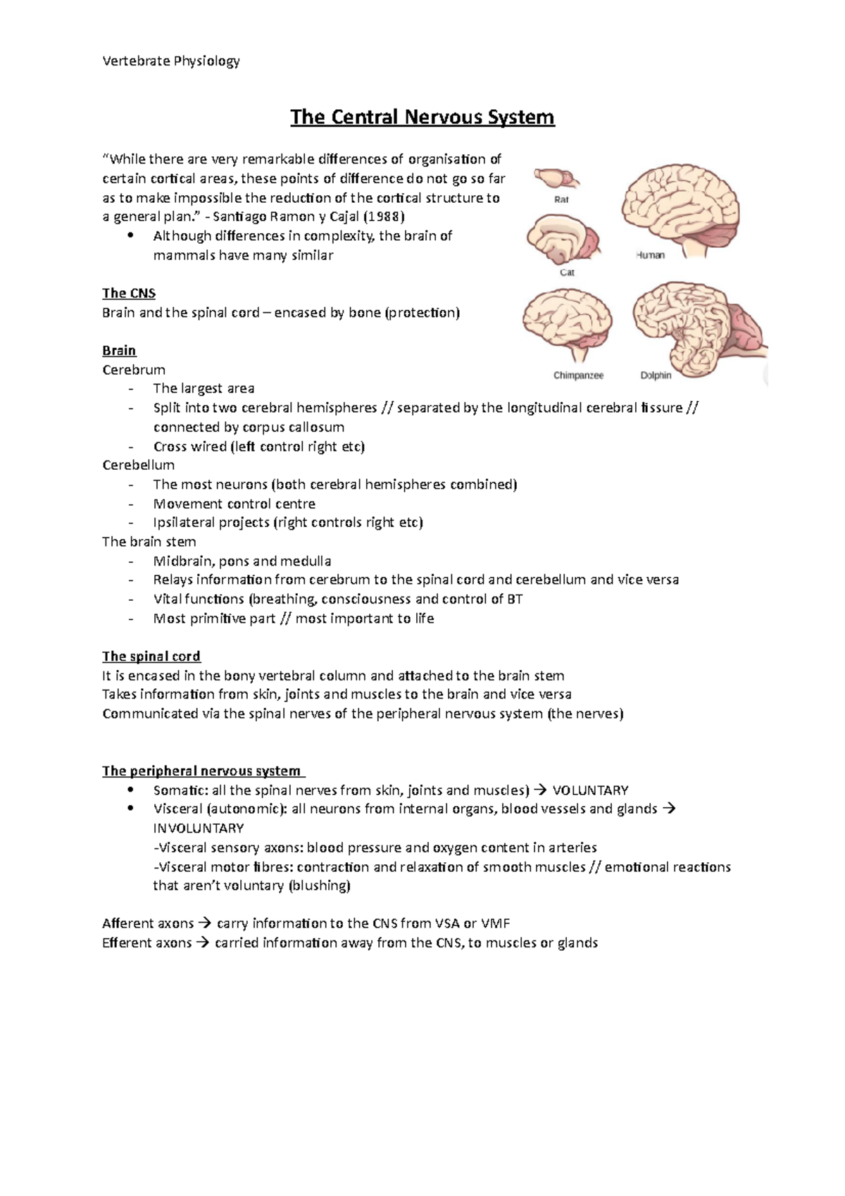 The Central Nervous System and Structure - notes - The Central Nervous ...