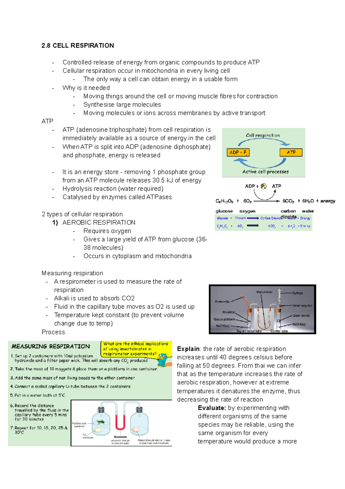 Biology hl 2.8, 2.9, 8 - 2 CELL RESPIRATION Controlled release of ...