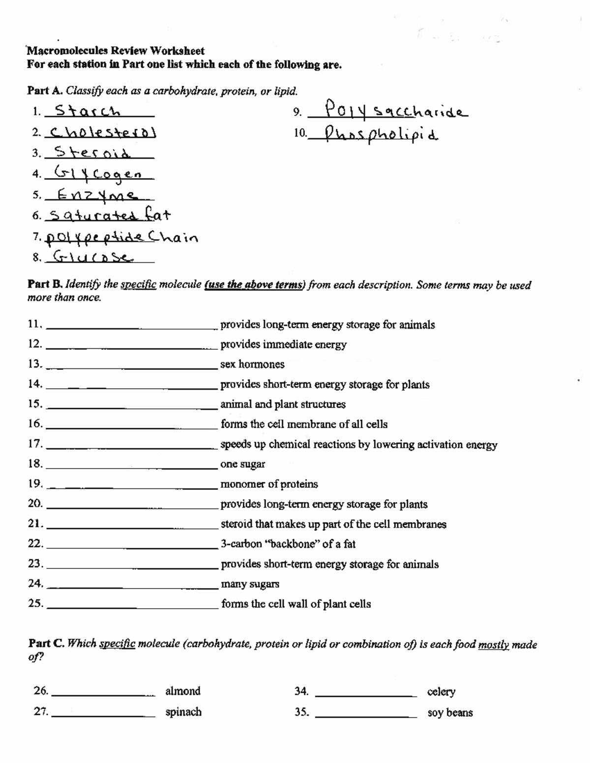 Macromolecule+Review+Worksheet - BIOL108L - Studocu