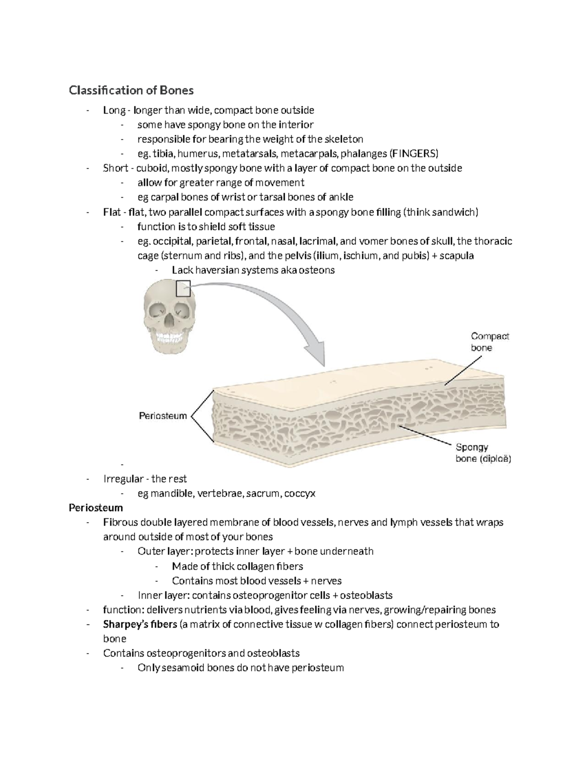 Bones - Module 1 - Classification of Bones Long - longer than wide ...