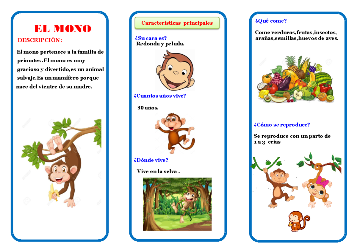 Scribd - trabajo - Características principales EL MONO DESCRIPCIÓN: El ...