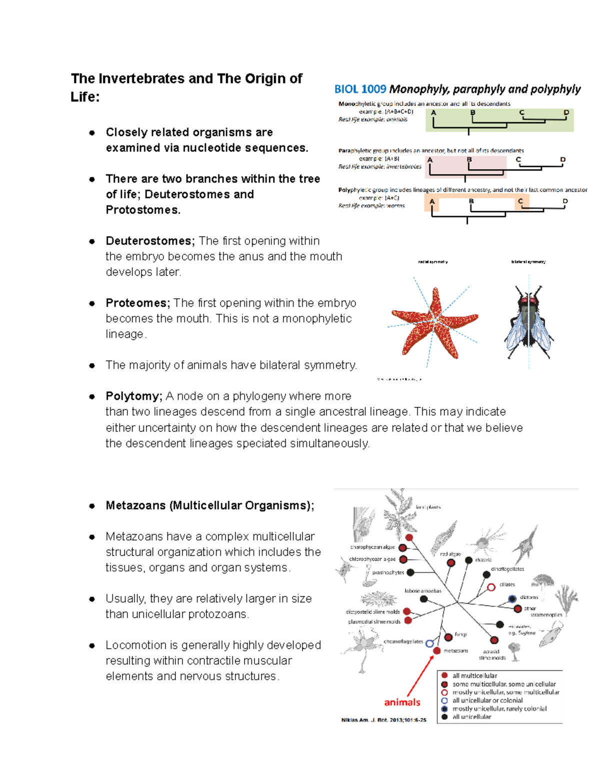 Diversity of Life Notes - The Invertebrates and The Origin of Life ...