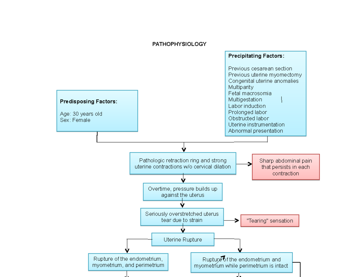 Pathophysiology On Uterine Rupture Leading To Early Postpartum