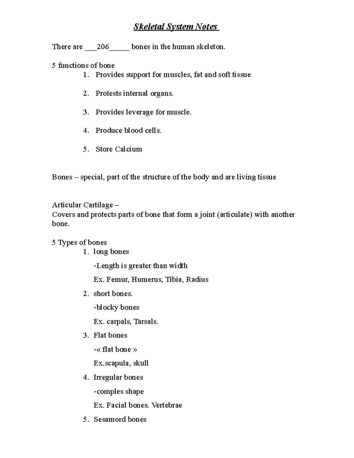 Skeleton Notes Tony N - There are 206__ bones in the human skeleton. 5 ...