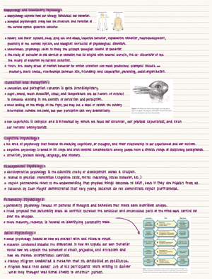 Psych 3513 object recognition Part 4 - Psych 3513 object recognition ...