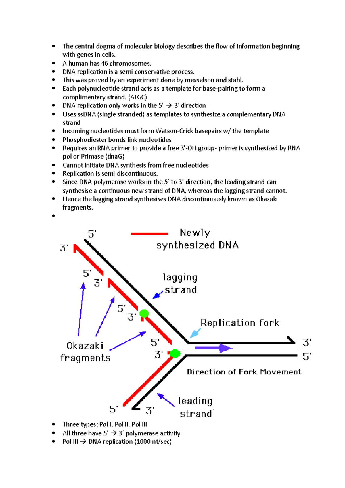 DNA Replication Notes - The central dogma of molecular biology ...