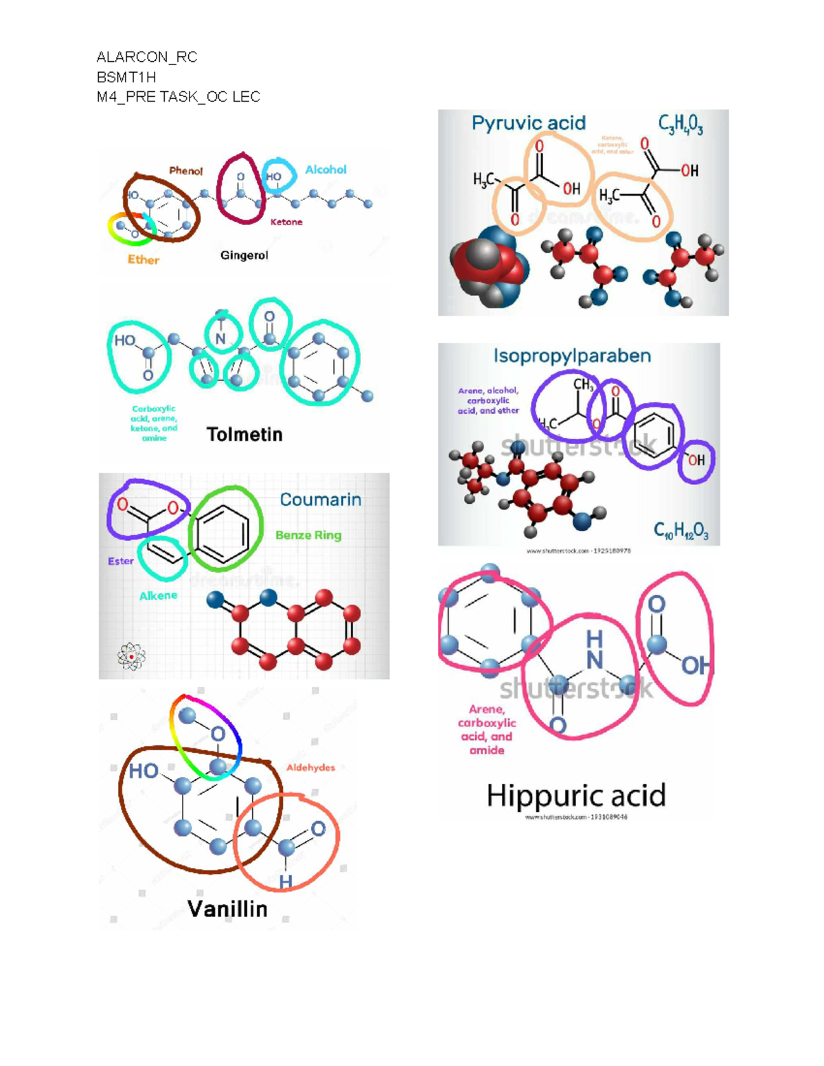 M4 Pre Task Oc Lec Alarcon Organic Chemistry Alarcon Rc Bsmt1h M4