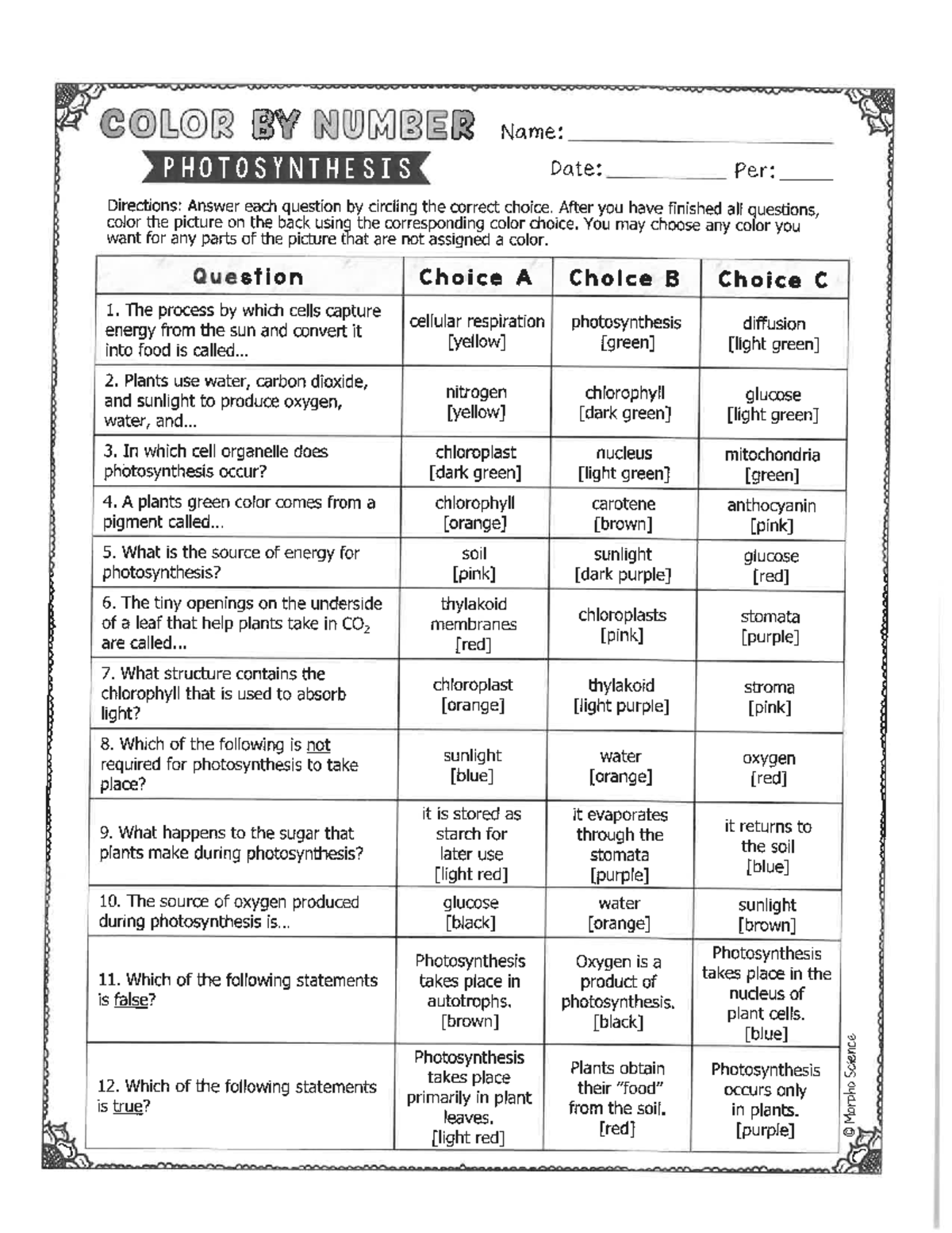 Photosynthesis color by number - BIOL 371 - Studocu