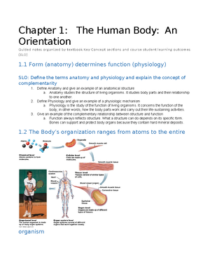 Ap2 ex 26 urinary system - Anatomy and Physiology II Lab Handout ...