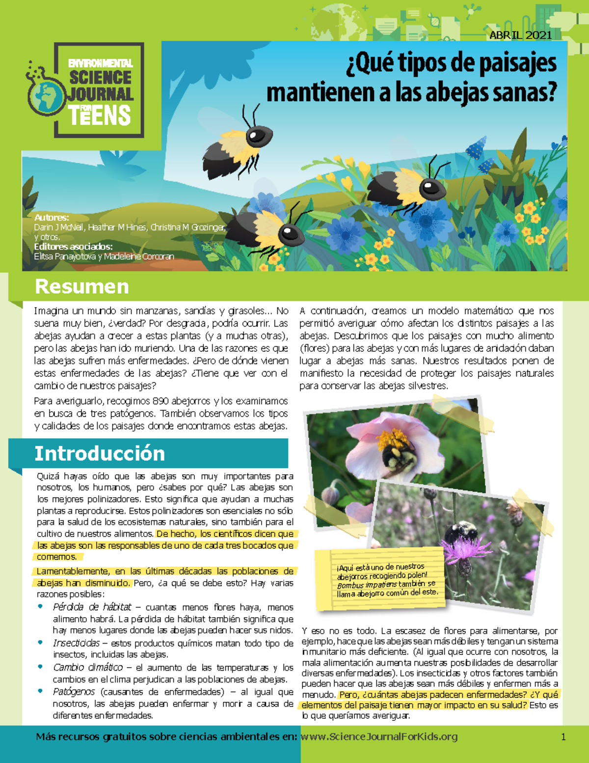 Bumble bee article es - biologia - ####### 1 ¿Qué tipos de paisajes ...