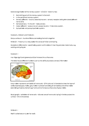 Evolution of the Nervous System - White pepper moth during industrial ...